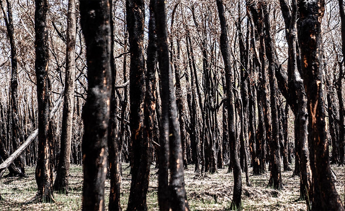 Australian Bushfires Humanitarian Relief Campaign | Ohio Outside