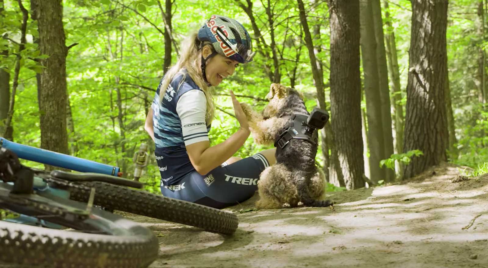 Buddy the Welsh Terrier Goes Mountain Biking | UNDER BLUE Magazine
