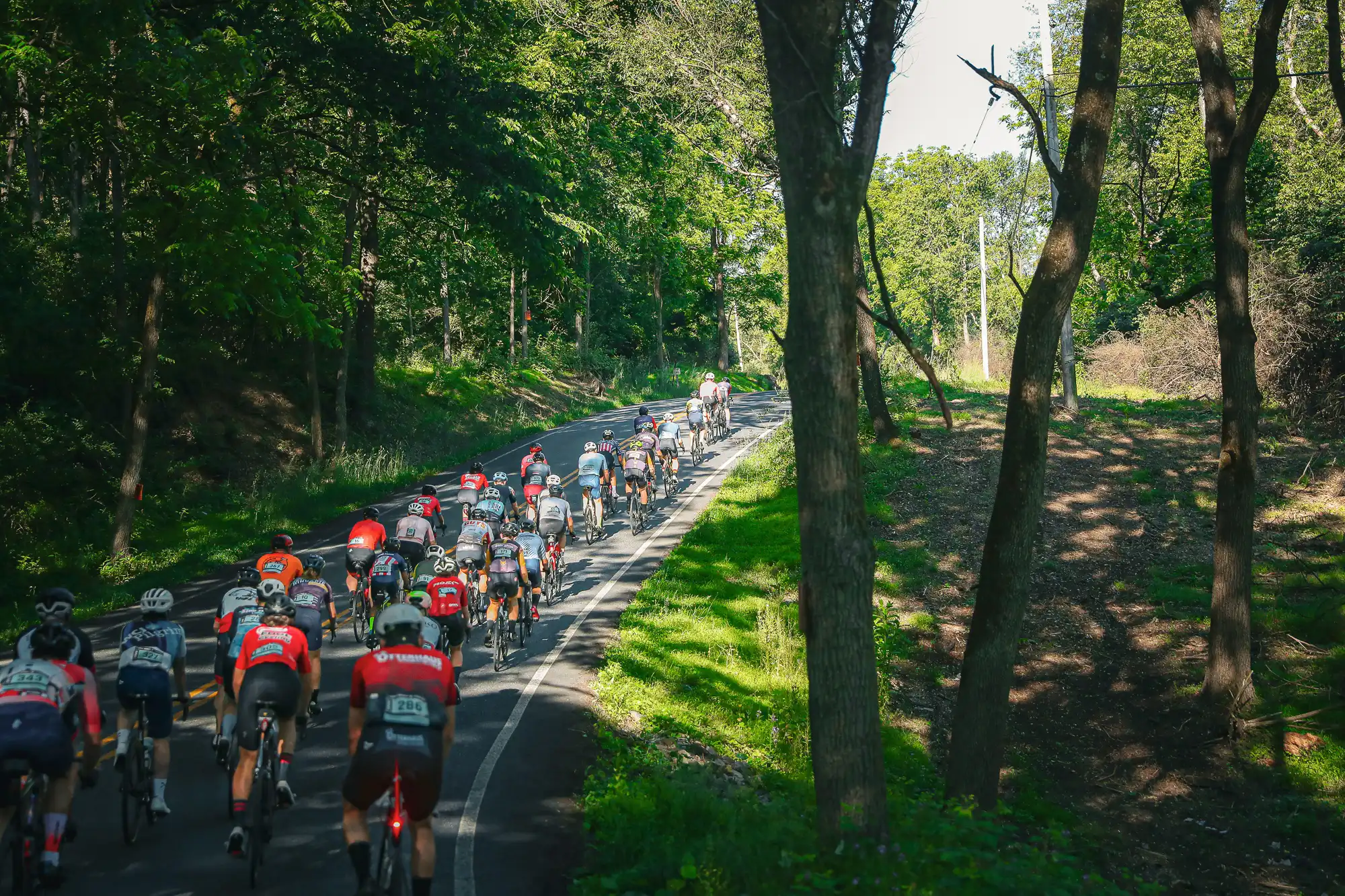Gran Fondo Hincapie-Lehigh Valley welcomed more than 700 riders to ...