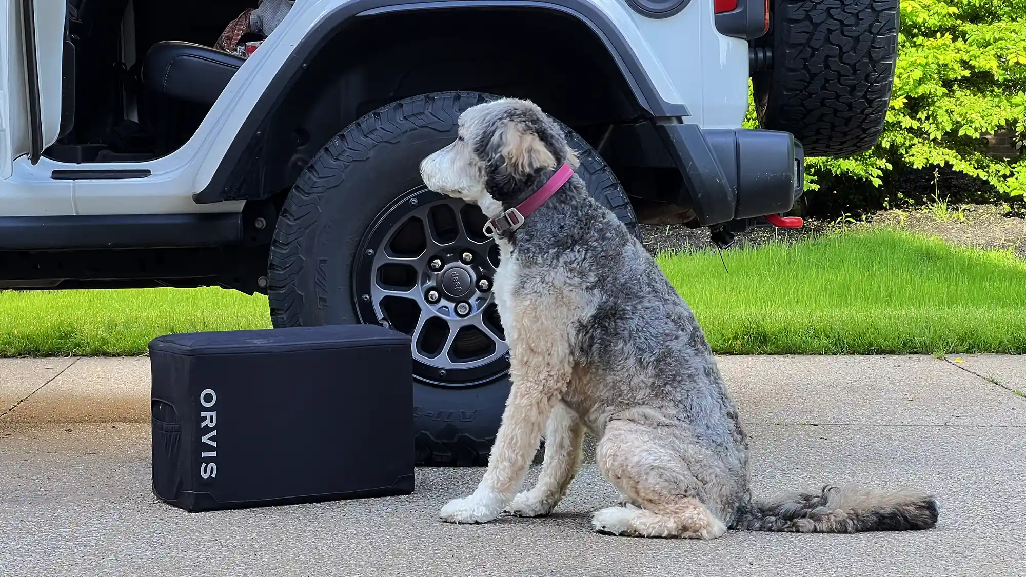 Orvis Dog Seat Extender Review | UNDER BLUE Magazine