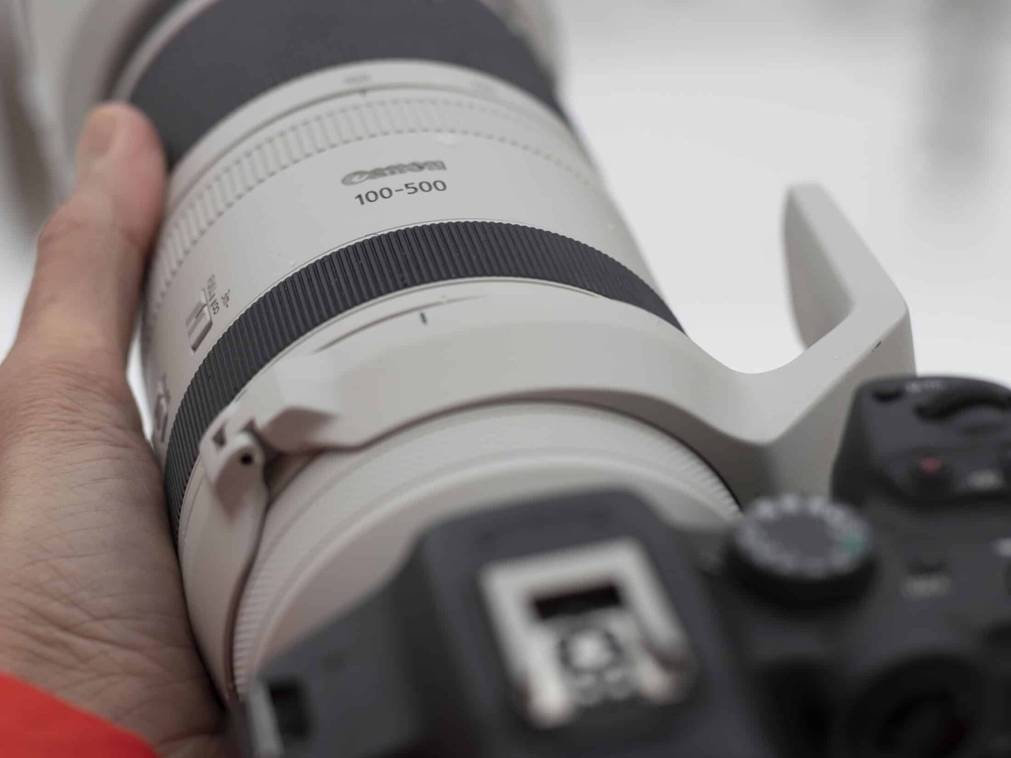 Canon RF 100-500mm f/4.5–7.1L IS USM Review | UNDER BLUE Magazine